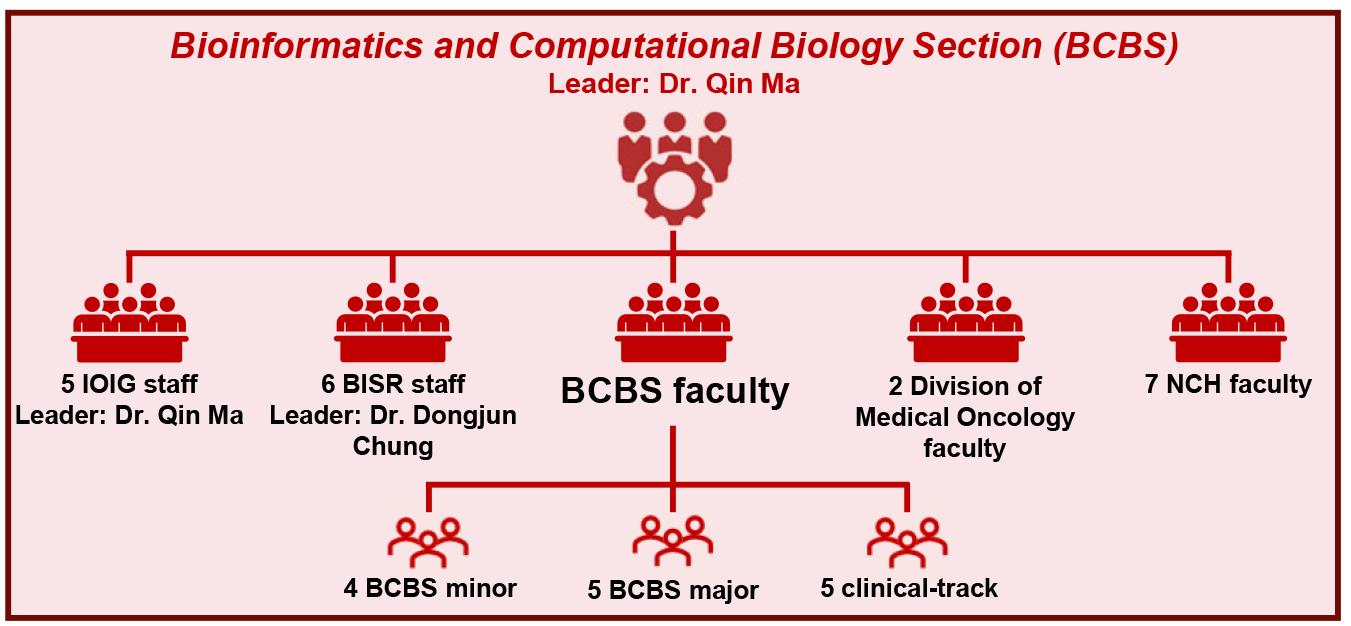 BCBS Faculty | Ohio State College of Medicine