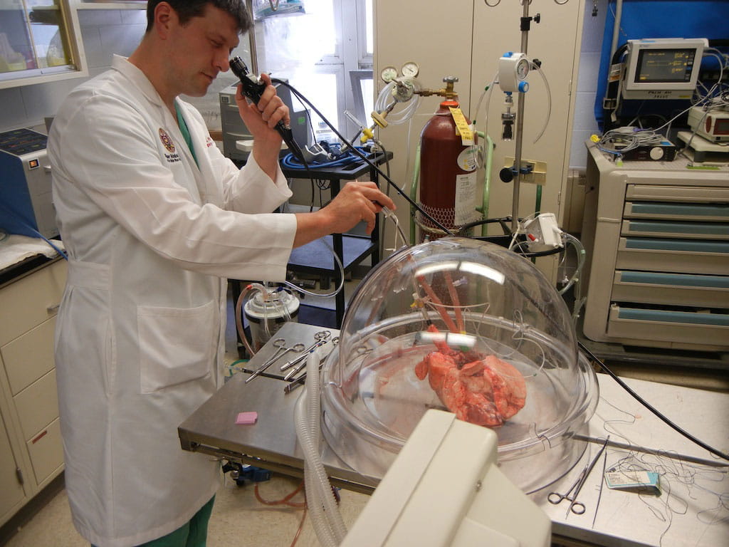 COPPER Laboratory | Ohio State College of Medicine