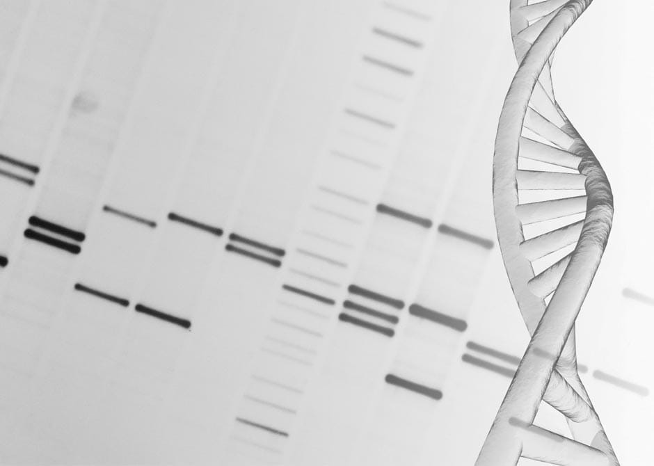 Genetic Counseling Graduate Program Admissions | Ohio State College of ...