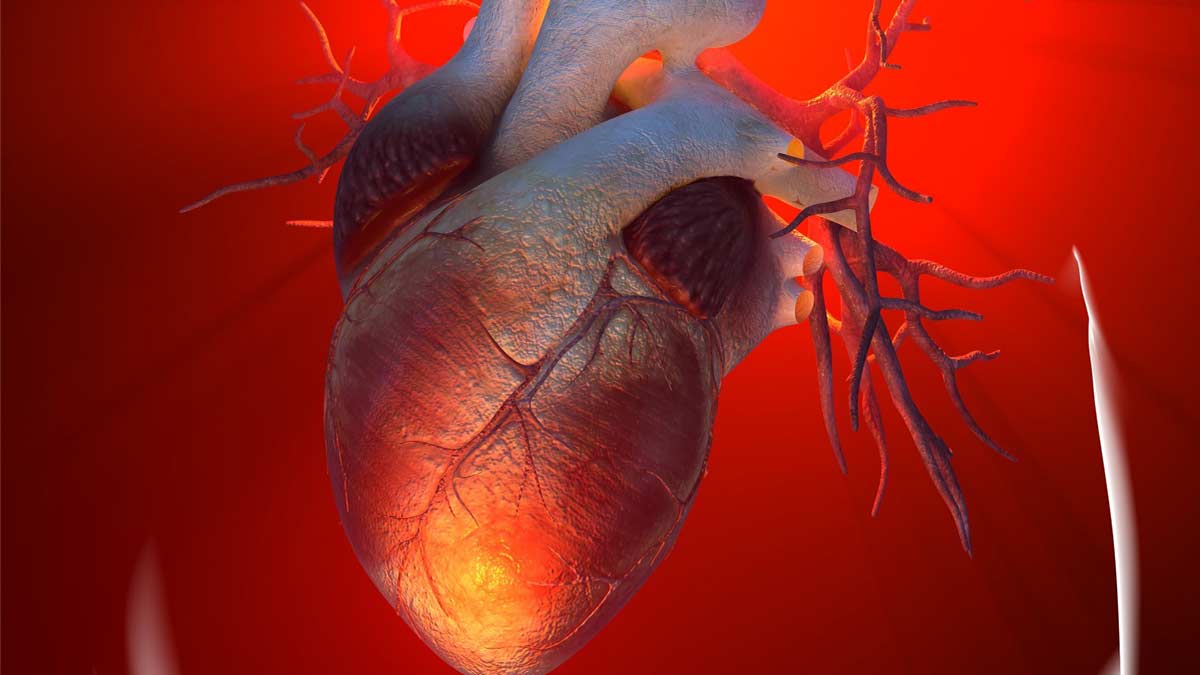 Researchers pursue interventions to tame first-responder cells after ...