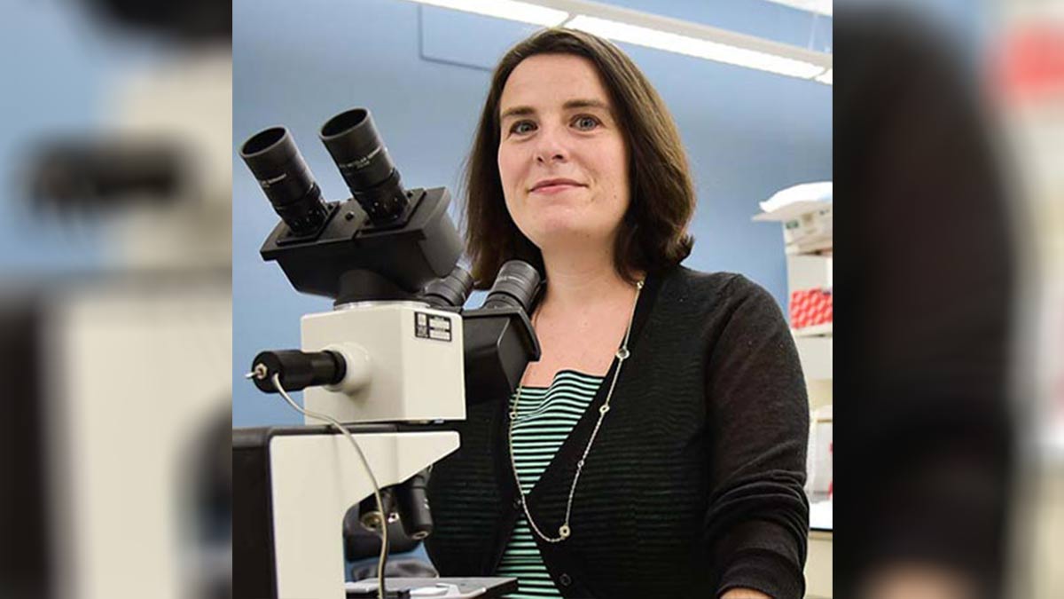 CRISPR/Cas9 genome editing method for human induced pluripotent stem ...